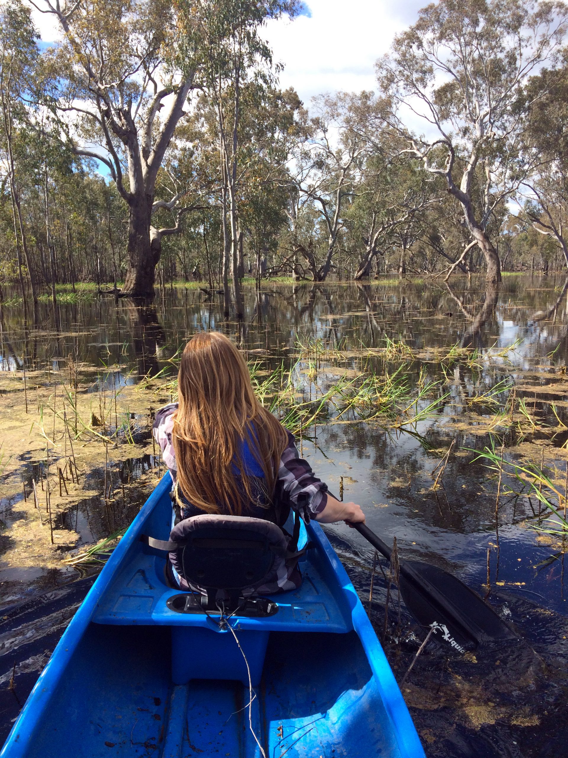 Greater Hume Visitor Information Centre - Sydney Melbourne Touring