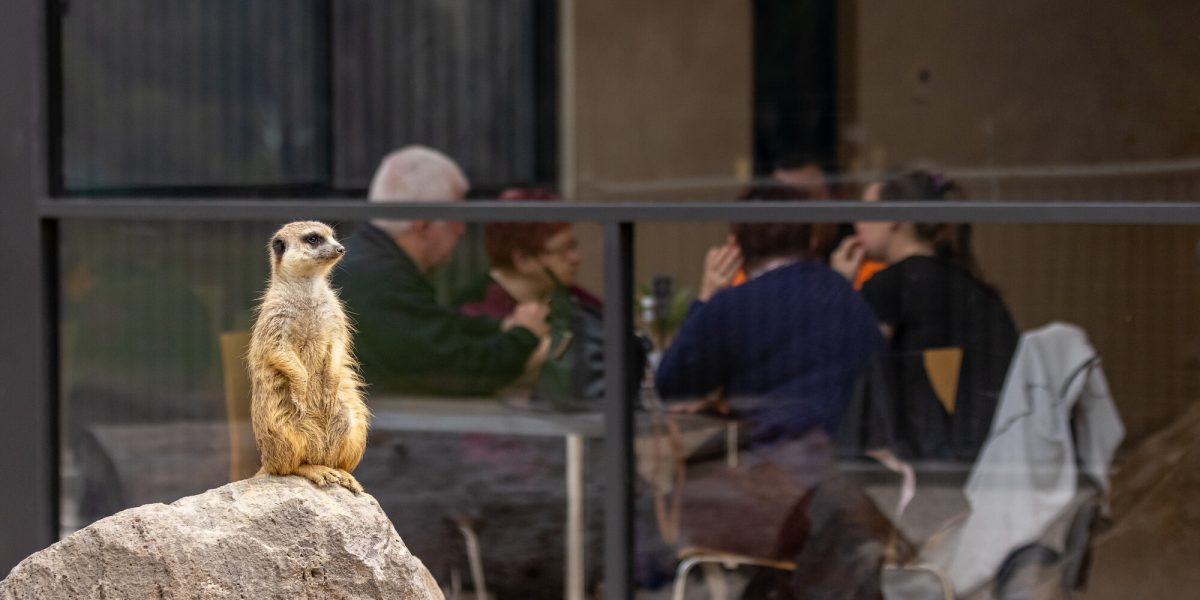 Kyabram Fauna Park - Sydney Melbourne Touring